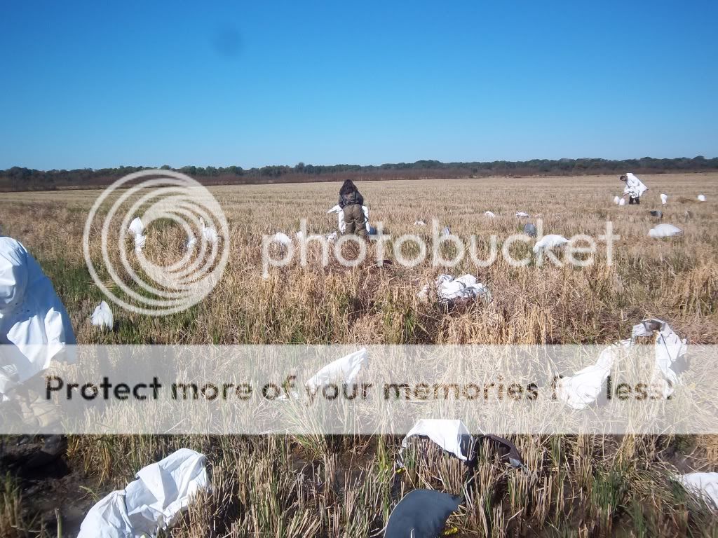 Waterfowl Specialties!!! | Duck Hunting Forum