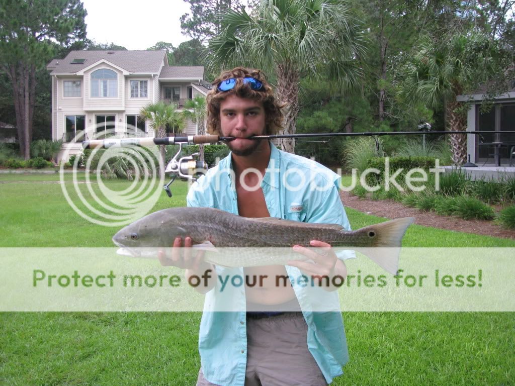 Some nice fish... - Field Herp Forum